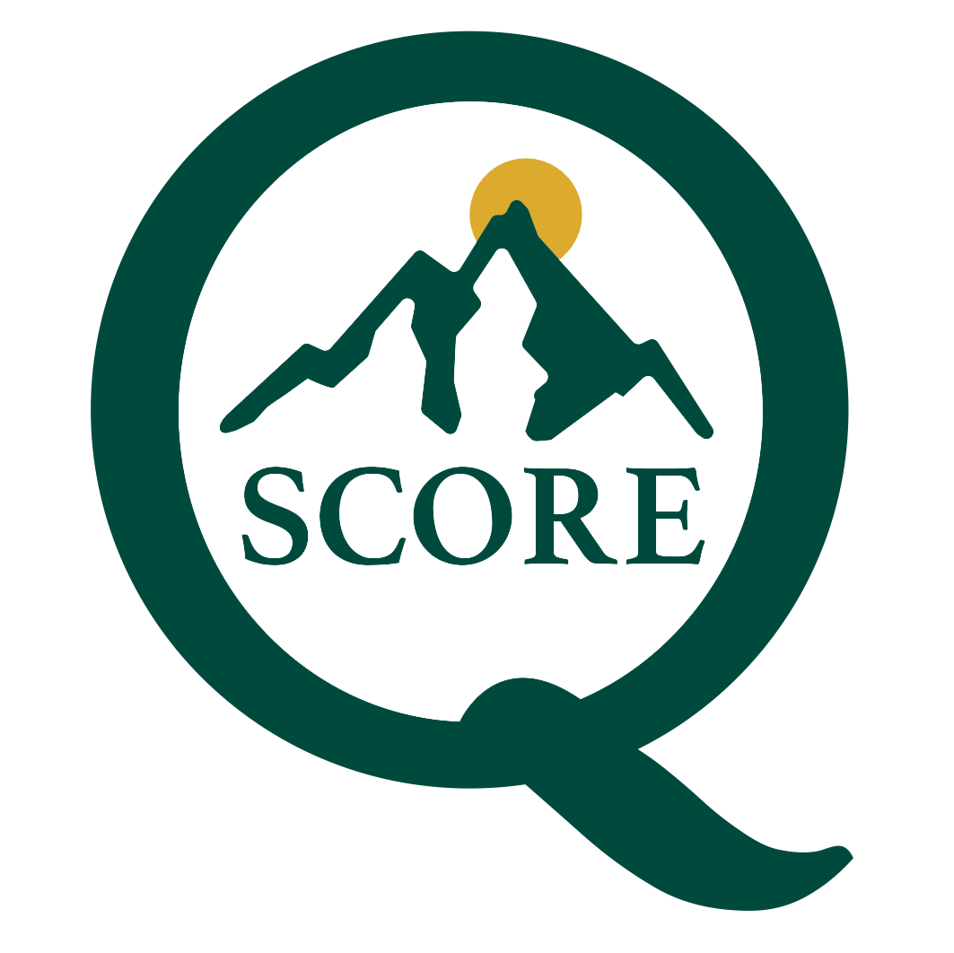 Q-Score